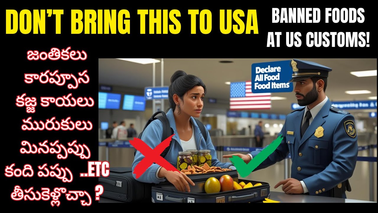 What Food Can You Carry to the USA? | US Customs Rules for ...