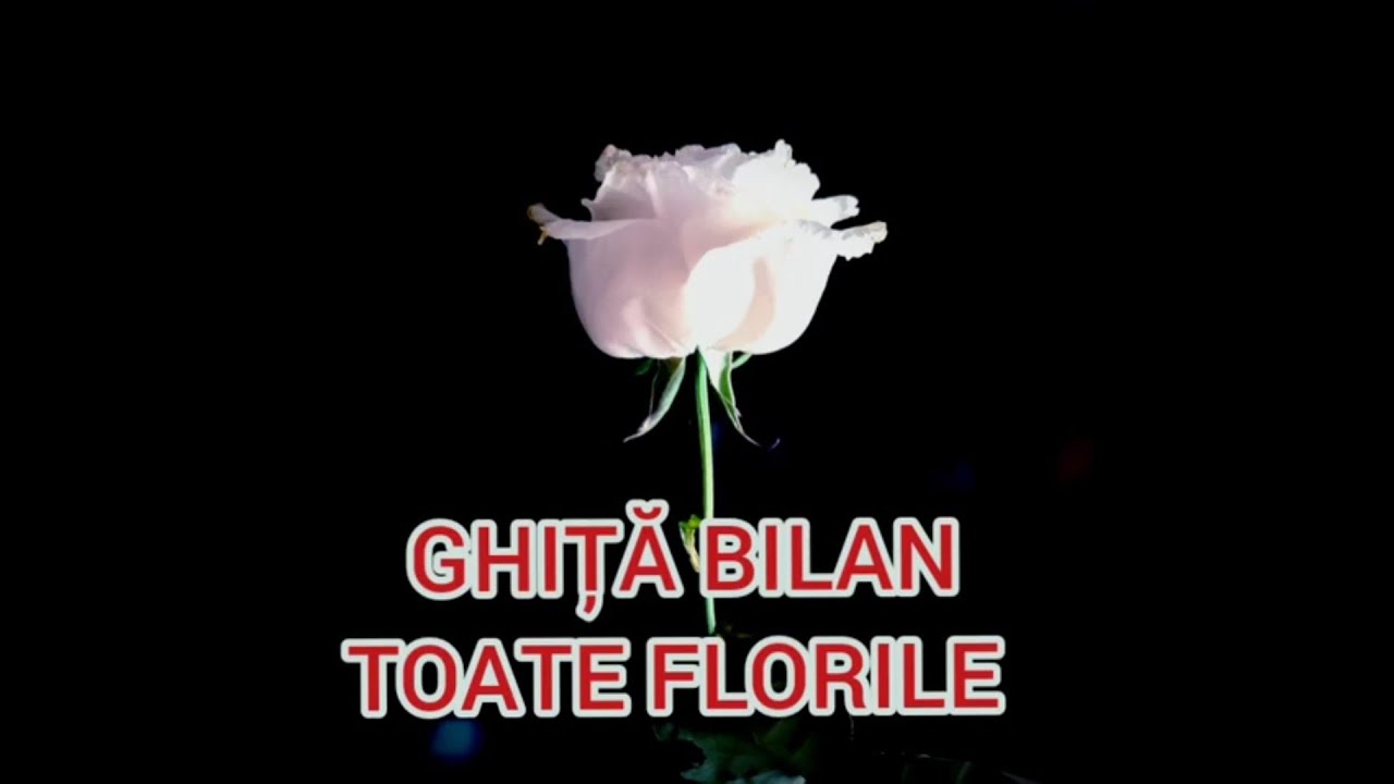 GHITA BILAN - TOATE FLORILE DIN LUME -TU ESTI CRINUL CEL DIN VALE 2022 ...