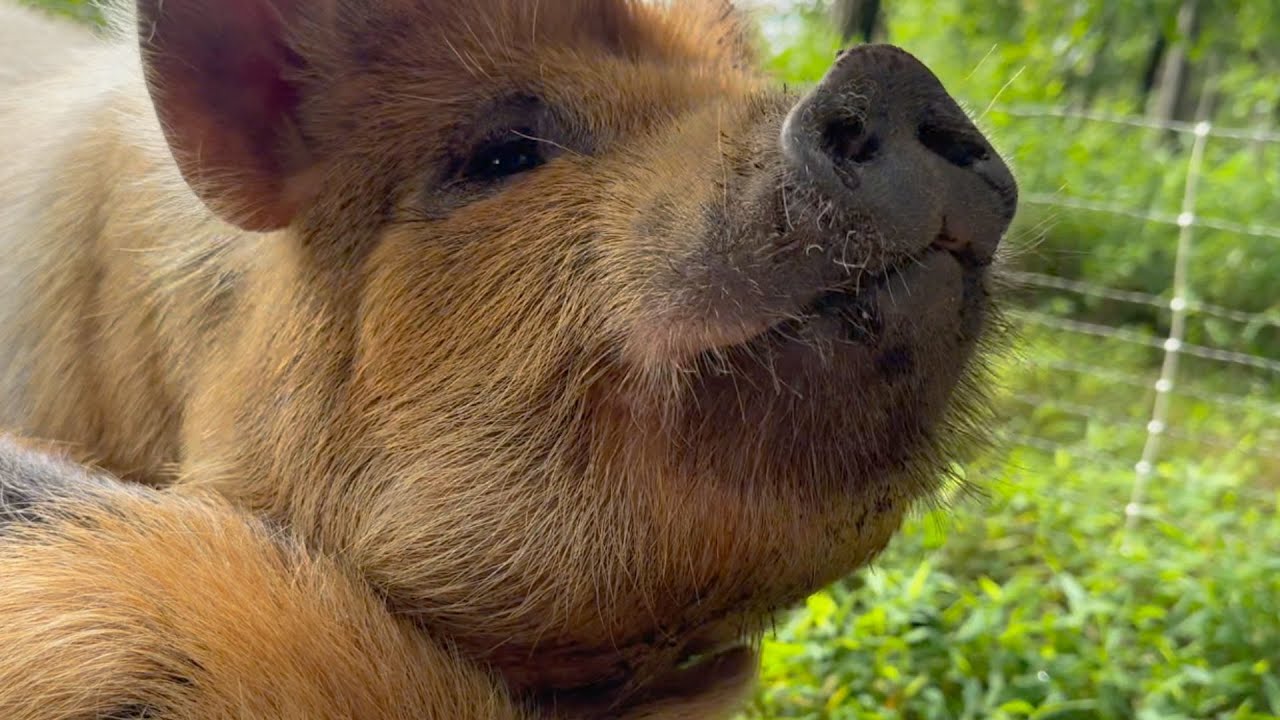 Learning as you go! - YouTube