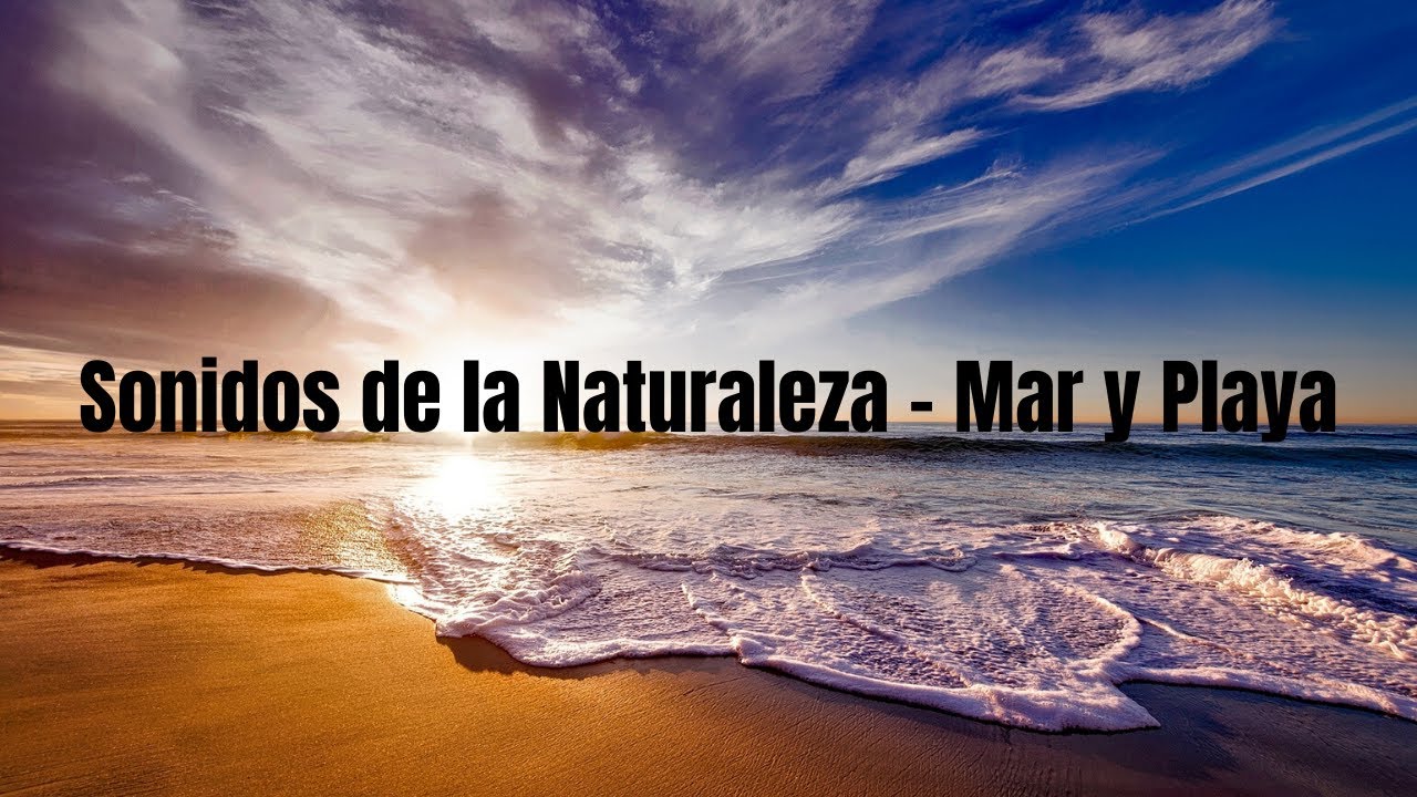 🙏 RELAJARSE: Sonidos del MAR 🌊 Playa. Relajación. Meditación - YouTube