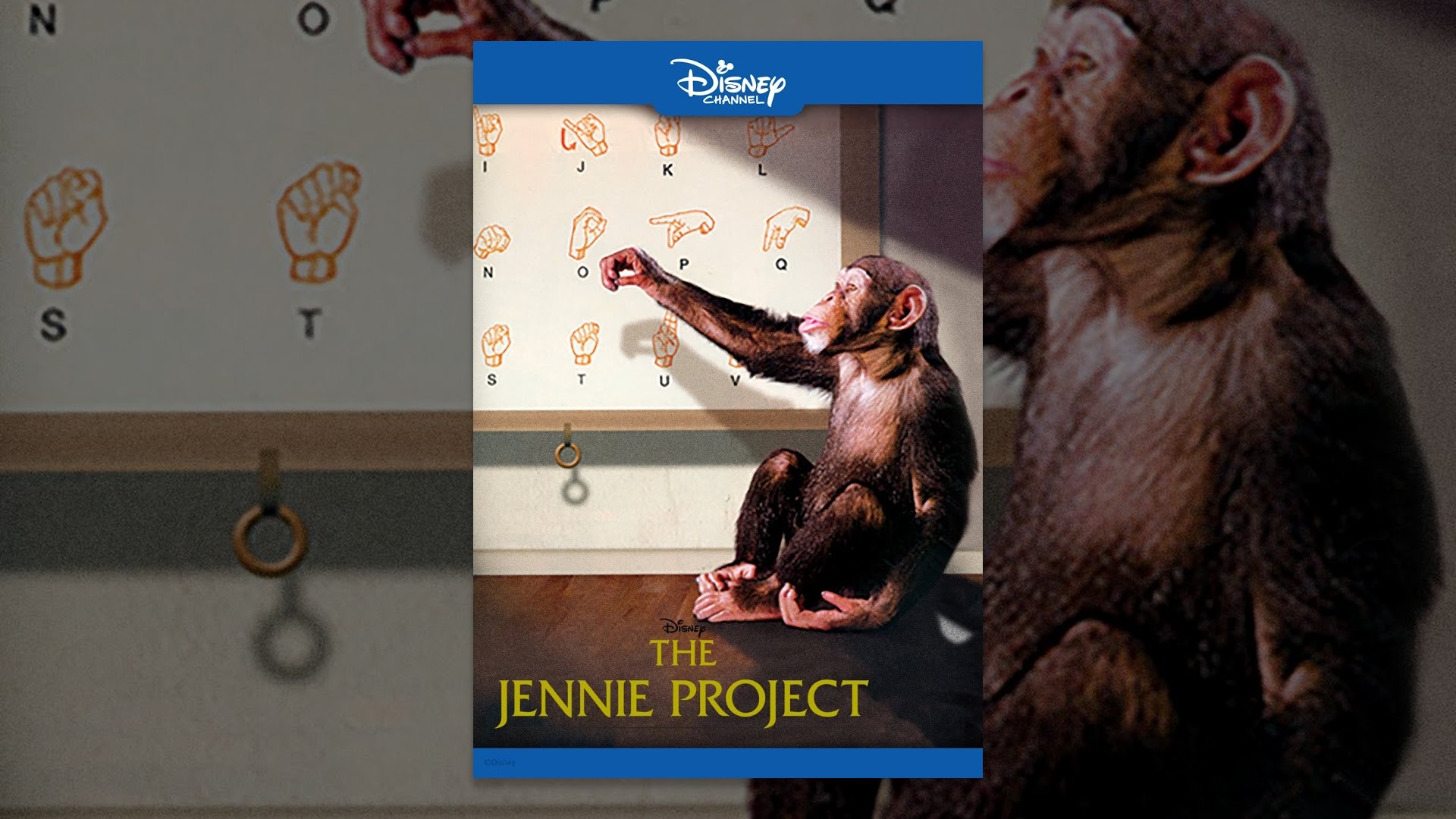 The Jennie Project