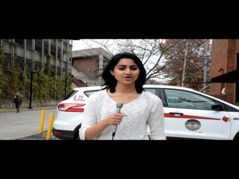 Final Crime Chix Report