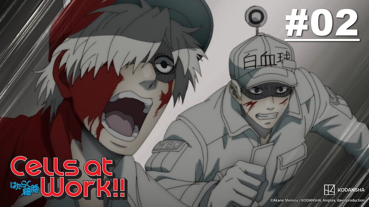 Cells at Work!! (S2) - Episode 02 [EN Sub]｜Muse PH - YouTube