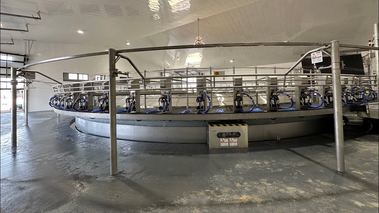 First look at the rotary milking parlor at Jon-De Farm - YouTube
