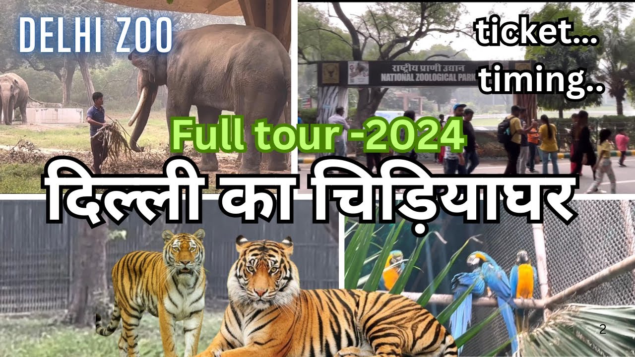 Delhi zoo - delhi zoo all animals | Delhi zoo online ticket 2024 ticket price chidiya ghar ...