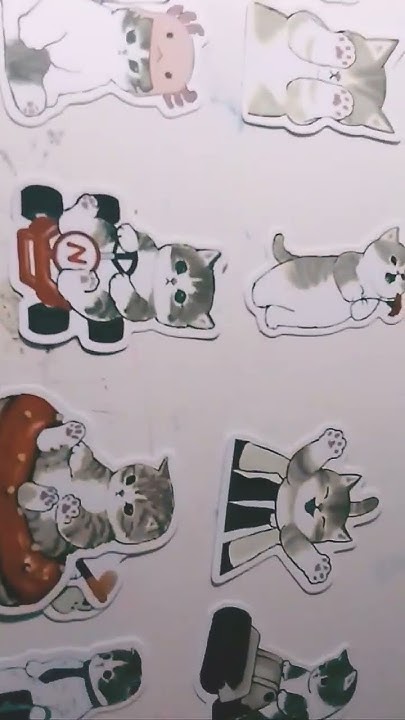 наклейки котят 🧡💛 - YouTube