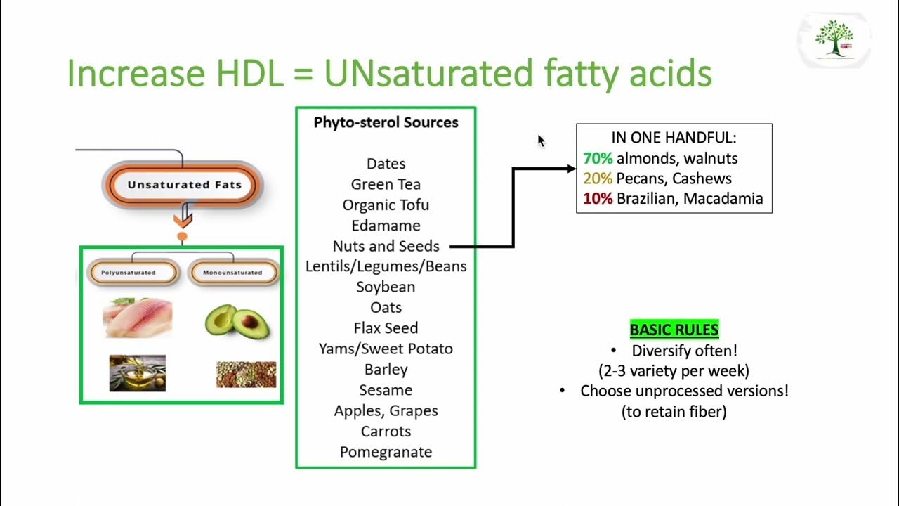 C4. Healthy HDL Cholesterol Sources - YouTube
