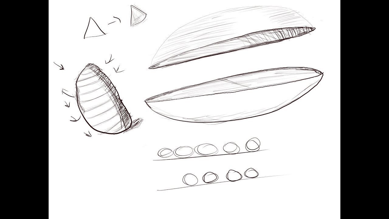 animaton drawing practice - YouTube