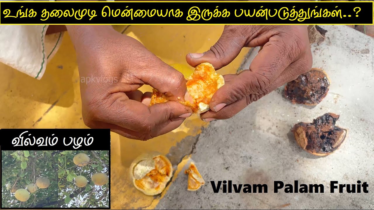 உங்க தலைமுடி மென்மையாக இருக்க பயன்படுத்துங்கள் வில்வம் பழம் | மருத்துவ ...