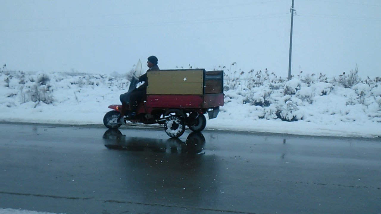 Super muravey - YouTube