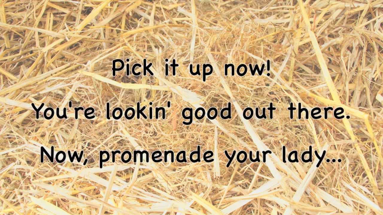 Phineas And Ferb - Danville Square Dance Lyrics (HD + HQ) - YouTube