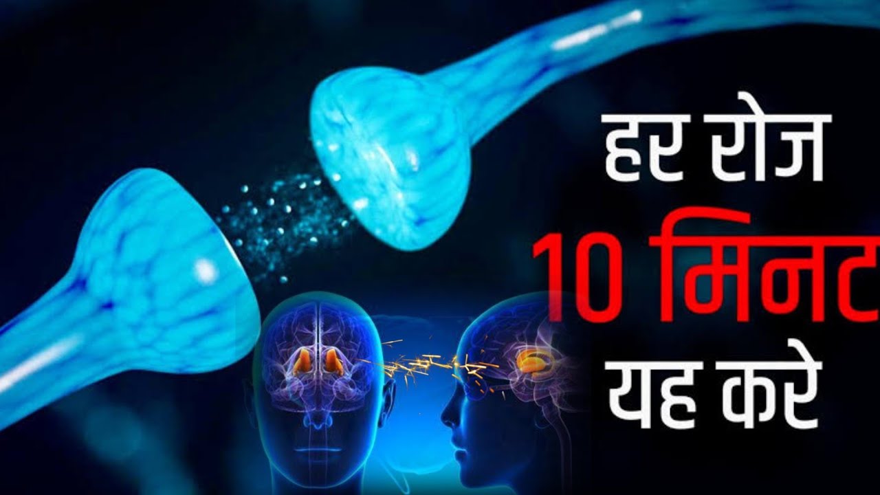 How To Increase IQ Level How To how-to-increase-iq-level-how-to