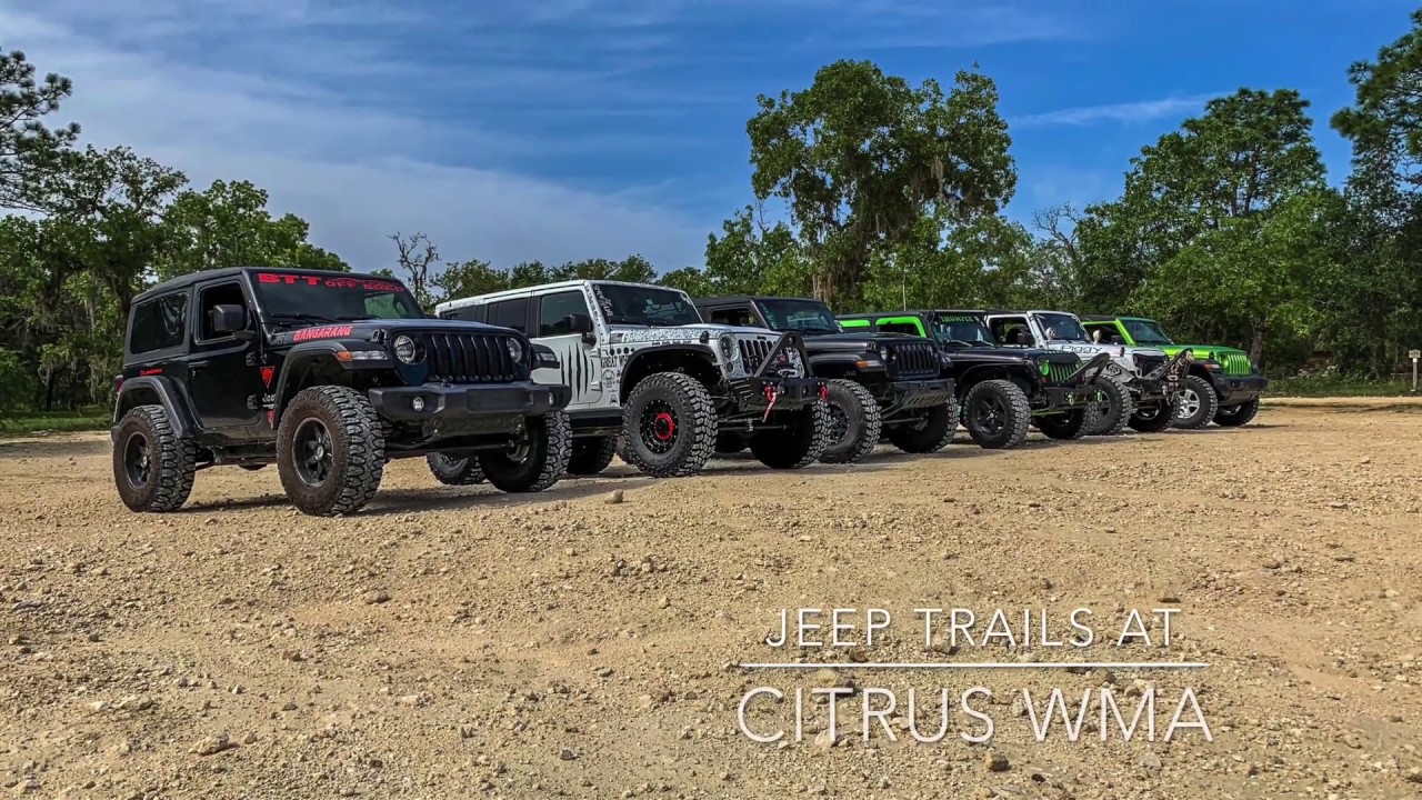 Citrus WMA | Jeep Trails - YouTube