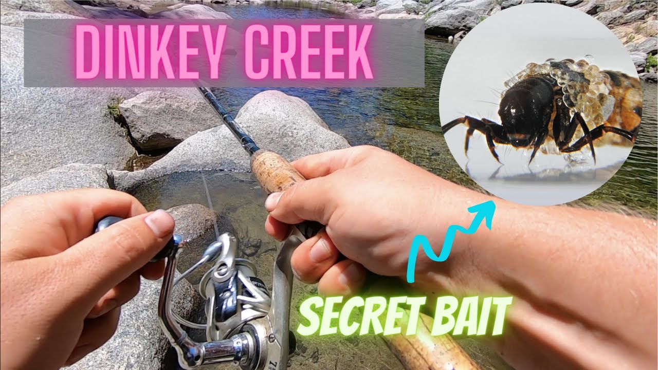 Dinkey Creek California Trout Fishing Under a Bridge - We Found The ...