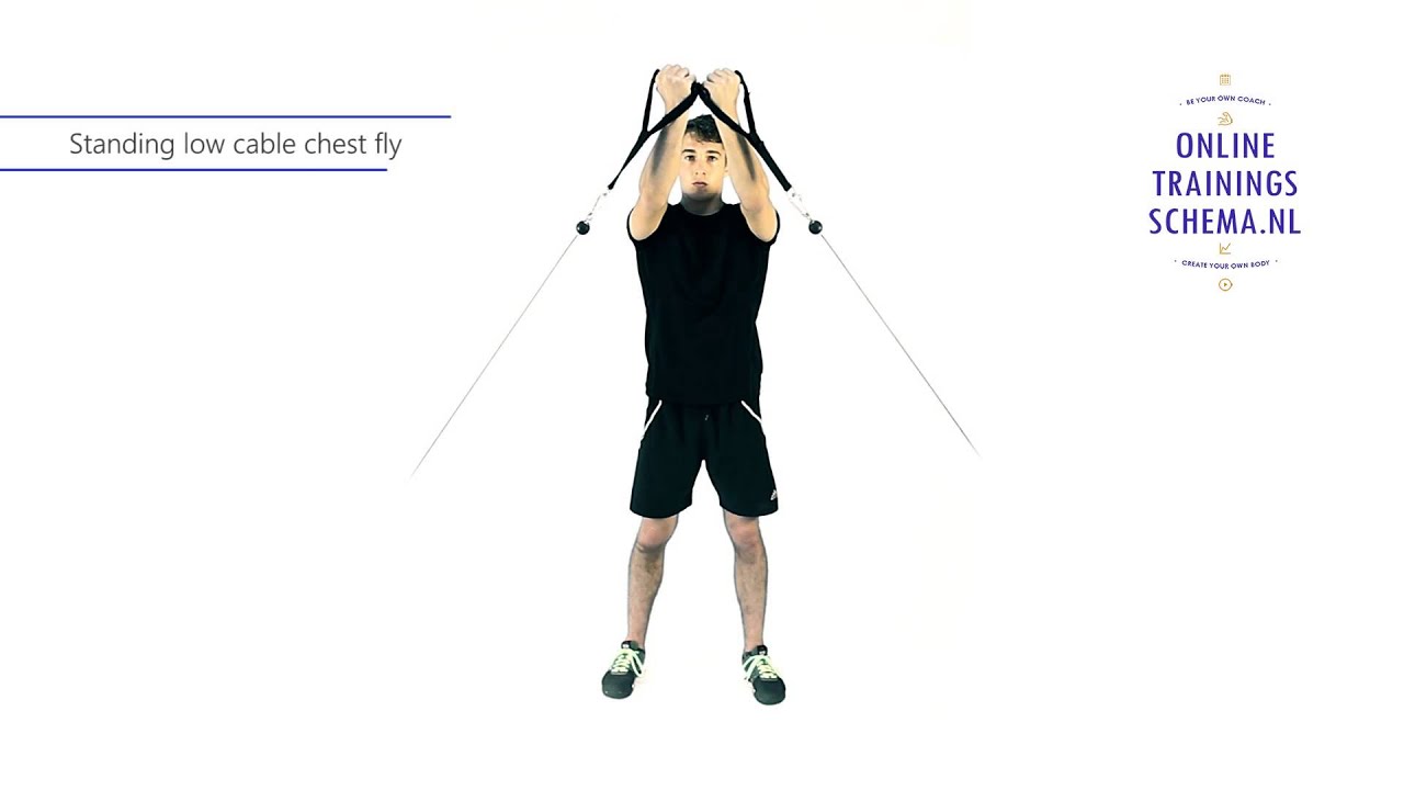 Standing low cable chest fly - Borst oefening - Onlinetrainingsschema ...