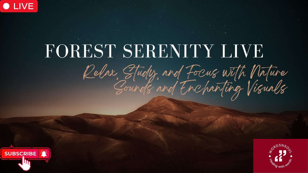 Forest Serenity Live: Relax, Study, and Focus with Nature Sounds and ...