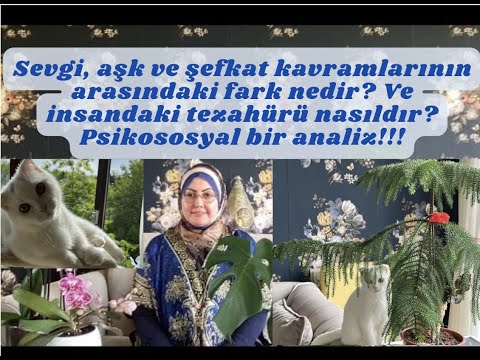 90-Sevgi, aşk ve şefkat kavramlarının arasındaki fark nedir? Ve insandaki tezahürü nasıldır ?