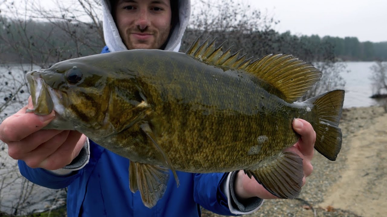 Catching GIANT pre-spawn smallmouth bass at Wachusett Reservoir! (4K ...