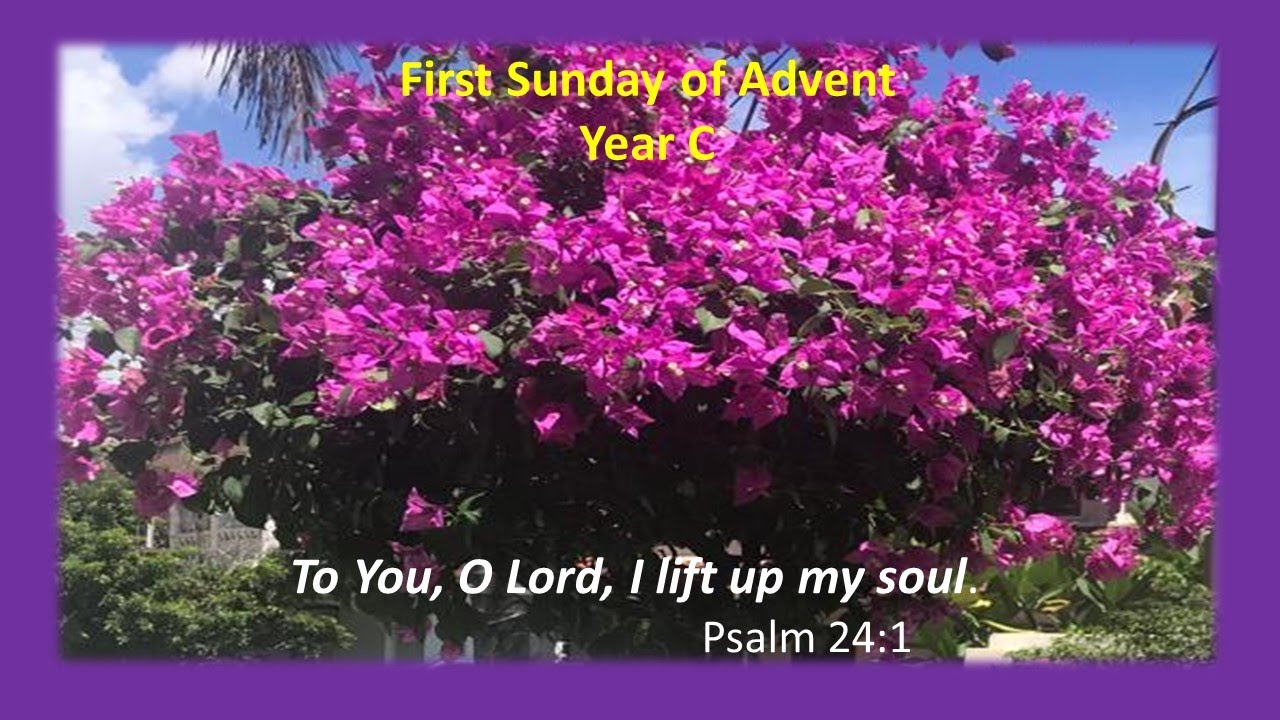 1st Sunday of Advent (Year C) - YouTube