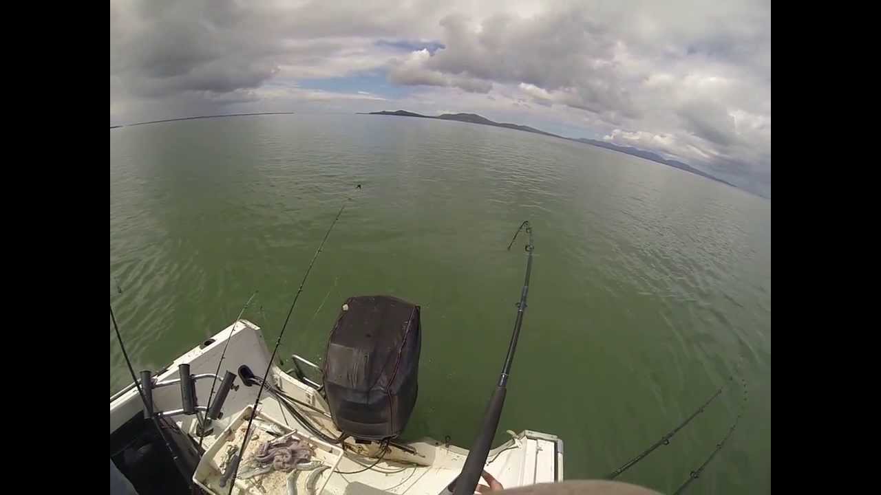 Port welshpool fishing - YouTube