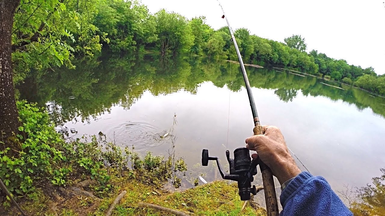 Fishing with Maggots, Worms and Bread - YouTube
