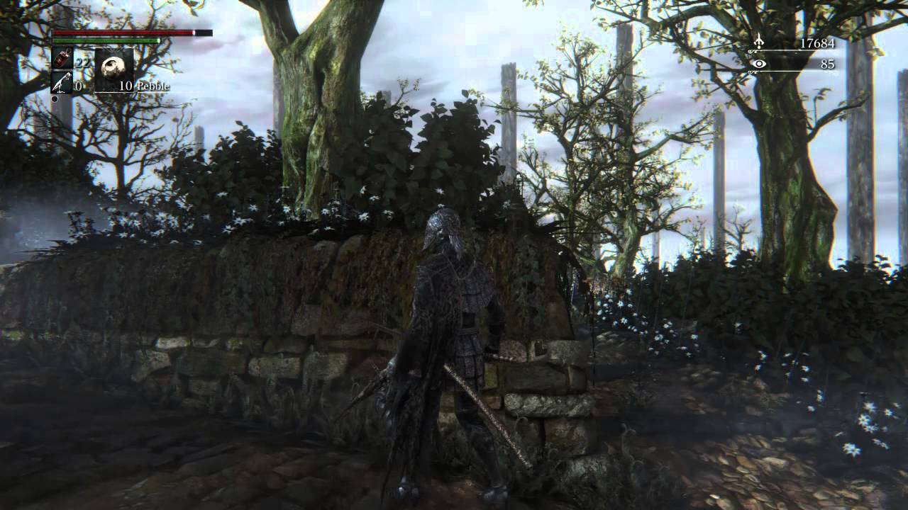 Cainhurst Armour Set, Chikage & Evelyn [Bloodborne] - YouTube