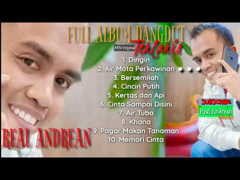 THE BEST OF DANGDUT TERLARIS  REAL ANDREAN DANGDUT  REMIX NONSTOP TERBARU