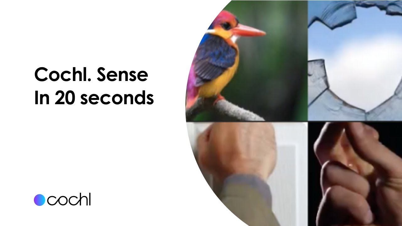 Cochl.Sense in 20 seconds - YouTube