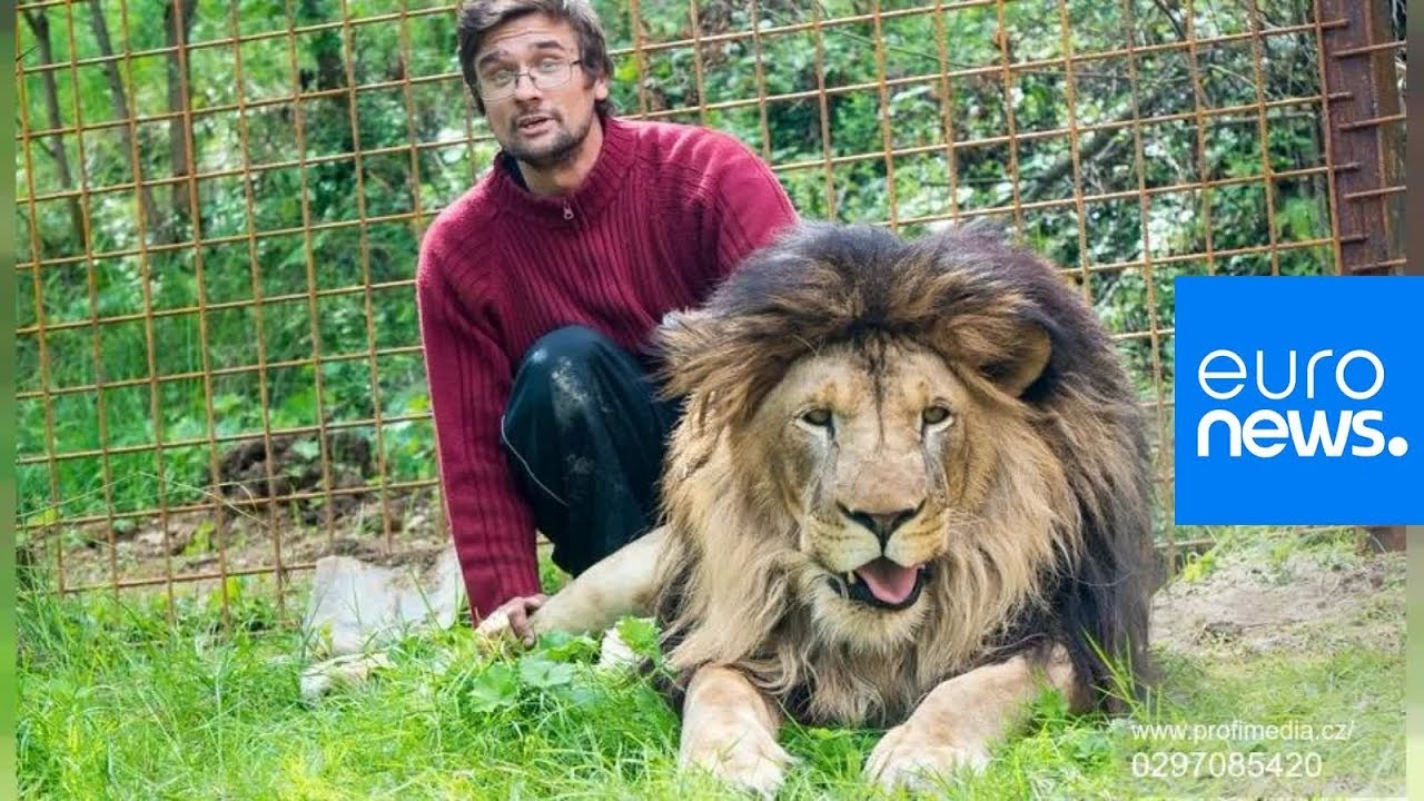 Czech man attacked and killed by lion he kept as pet - YouTube