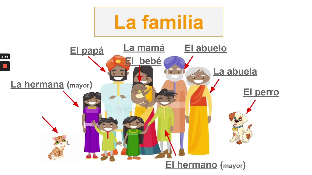 "La familia" vocabulary and the verb "tener" - YouTube