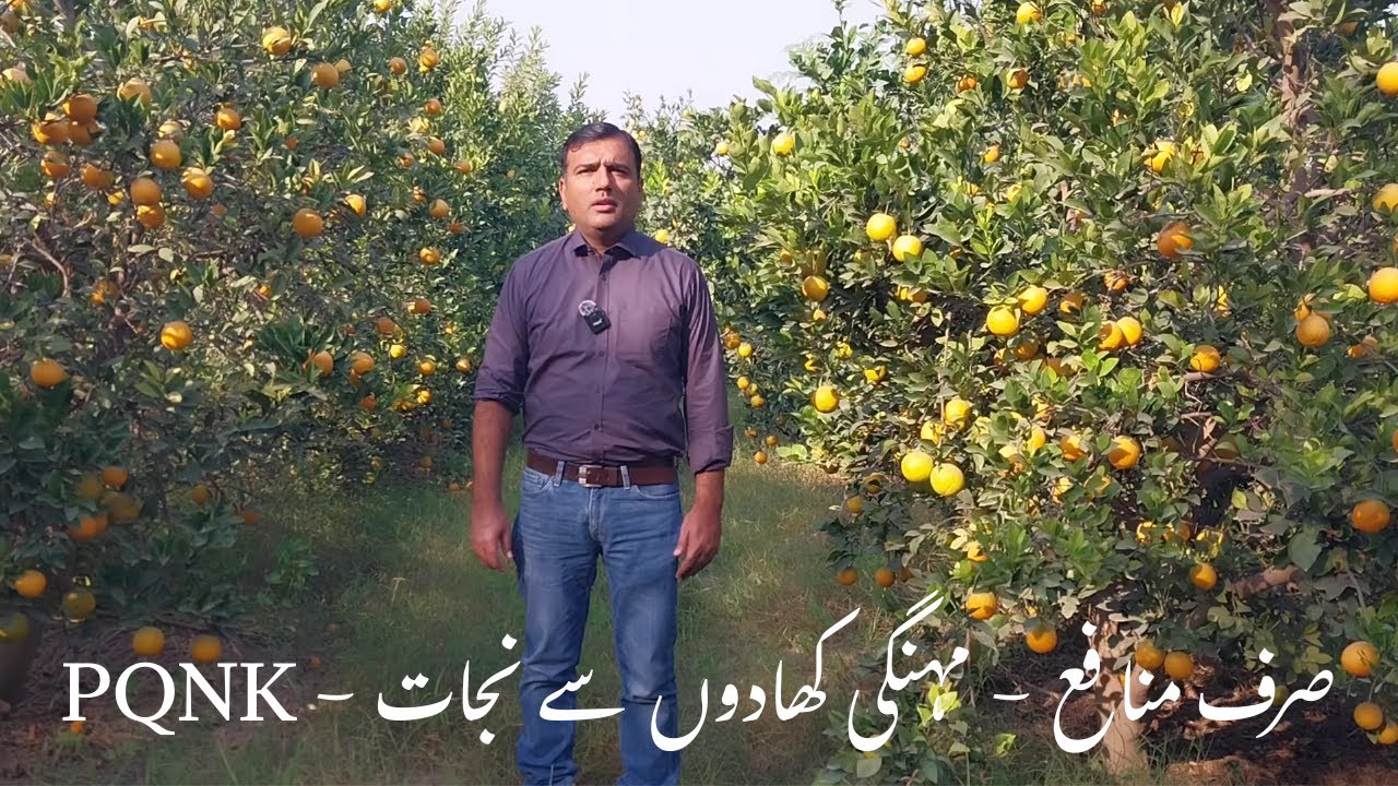 PQNK & Prosperity Model Explained | Organic Farming That Actually Works ...