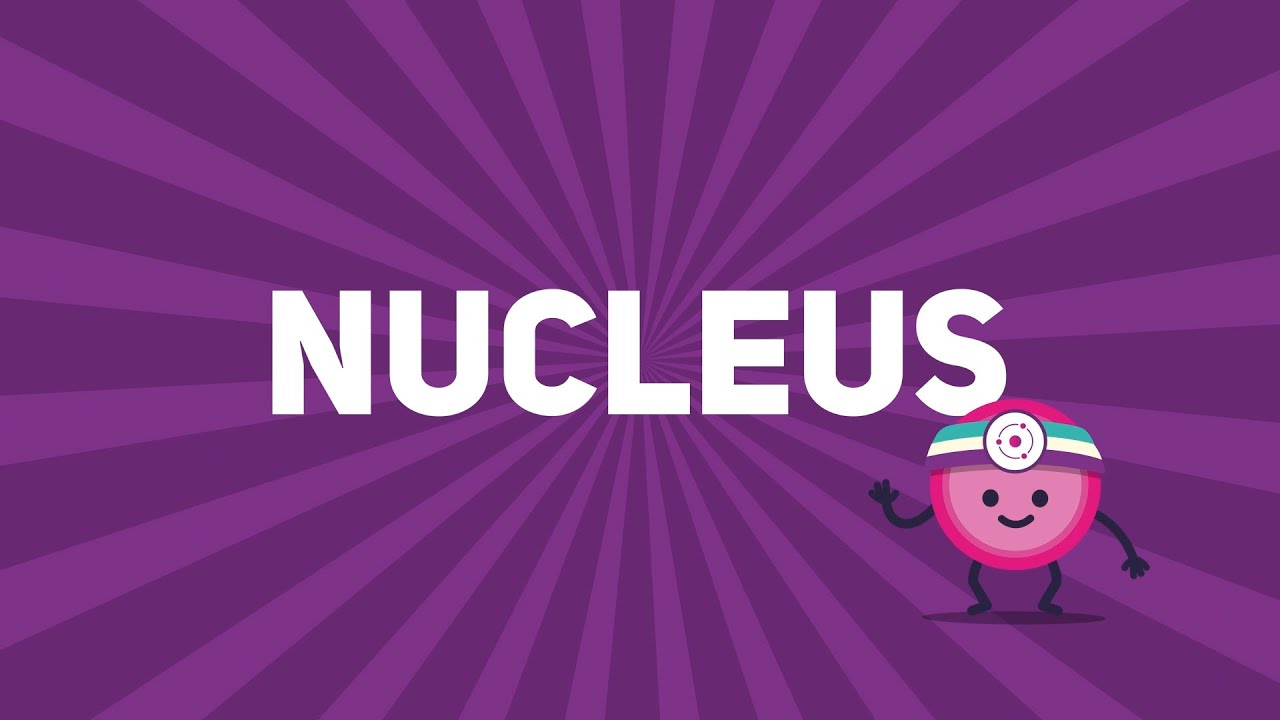 Nucleus from CAE Labs - YouTube