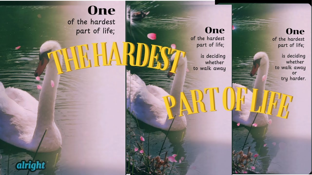 #644 THE HARDEST PART OF LIFE 🧬🧬🧬💓💖💘#hardest #partoflife # ...