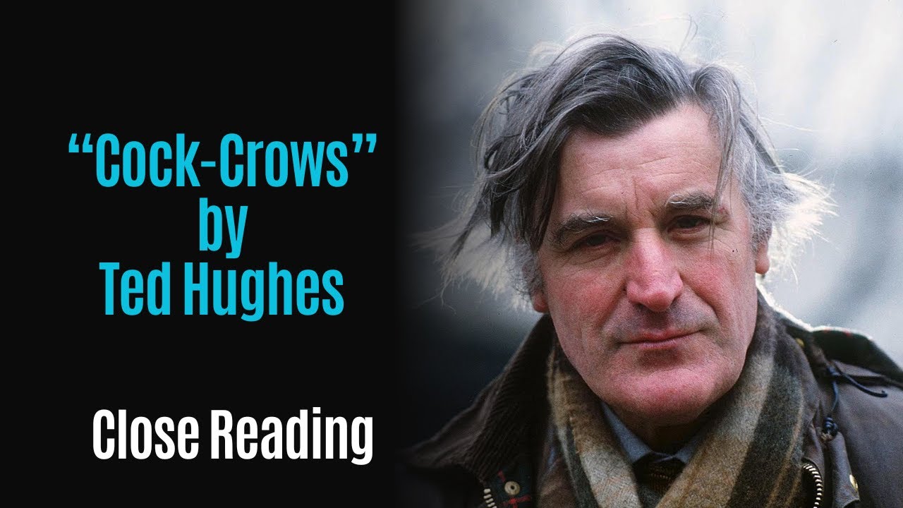 Poem of the Week: "Cock-Crows" by Ted Hughes - YouTube