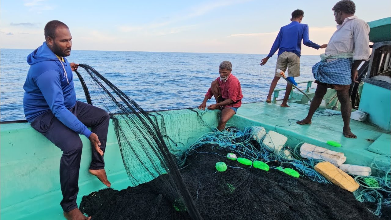 ஆழ்கடலில் வஞ்சிரமீன் பிடிக்க வலைவிட்டோம் ஆனா கடைச்சதோ இந்த மீன் தான் ...