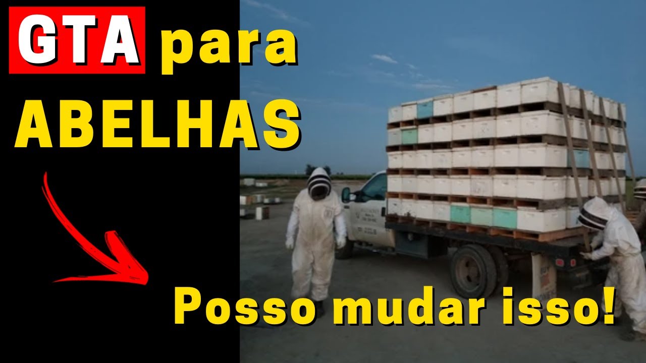 Guia de Trânsito Animal para ABELHAS l Saiba como eu posso mudar GTA e ...