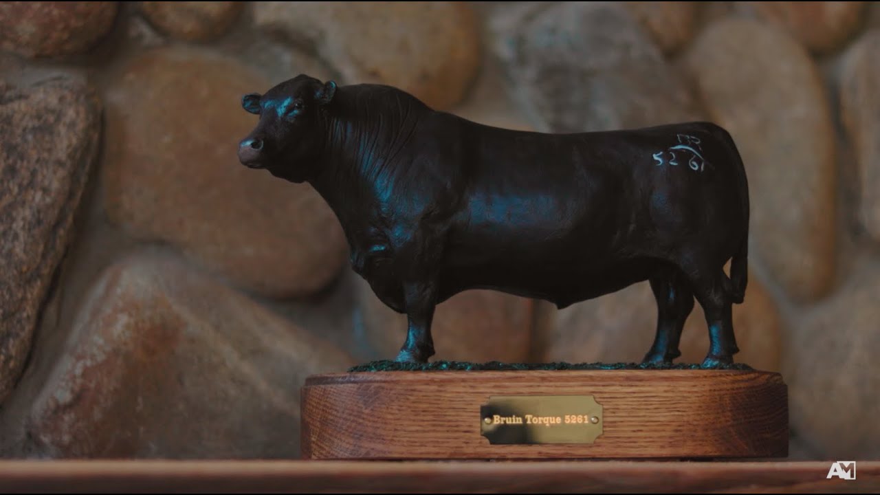 Strommen Ranch - YouTube
