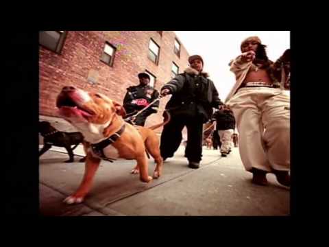 Aaliyah Feat DMX Back In One Piece - YouTube