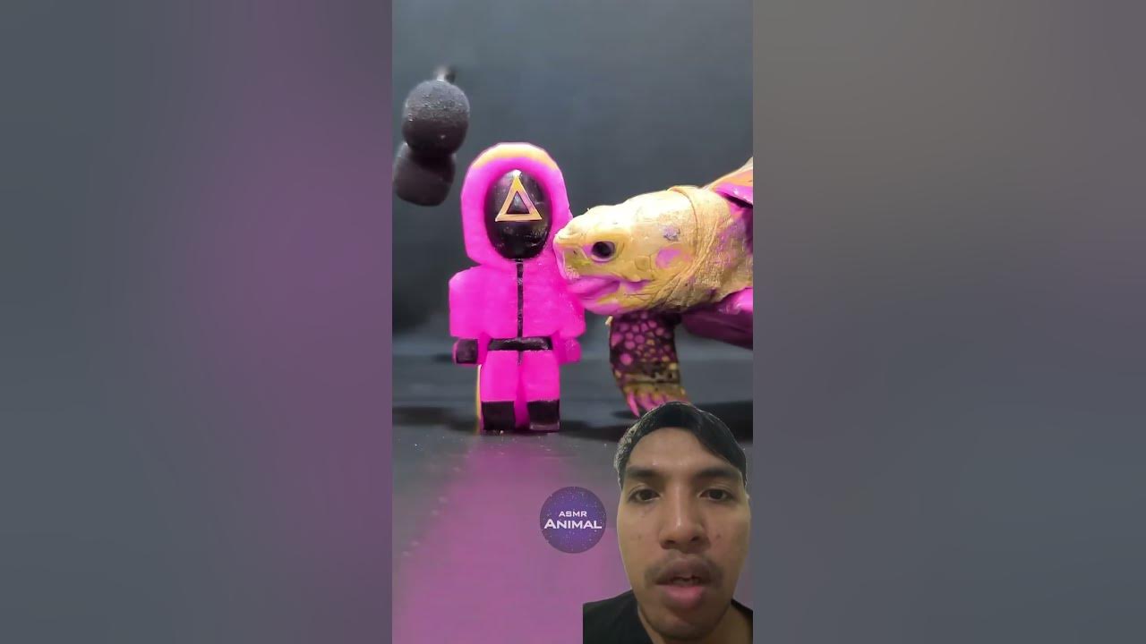 AKU GIGIT KAMU PETUGAS SQUID GAME!!!!?? #funny #shortsfeed #turtle #squidgame - YouTube