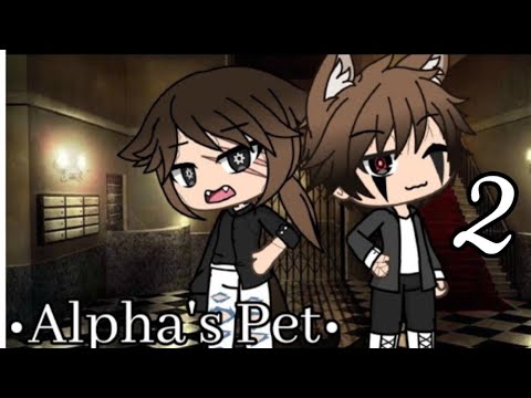 •Alpha's Pet 2• Gacha Life||Gay/BL||(500 sub special♥️) - YouTube