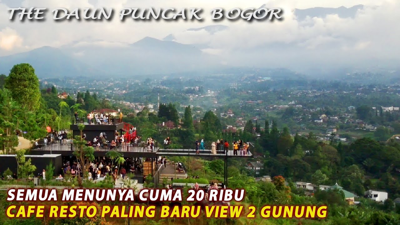 THE DAUN PUNCAK CAFE VIRAL CISARUA ‼️ CAFE PALING BARU DI PUNCAK BOGOR ...
