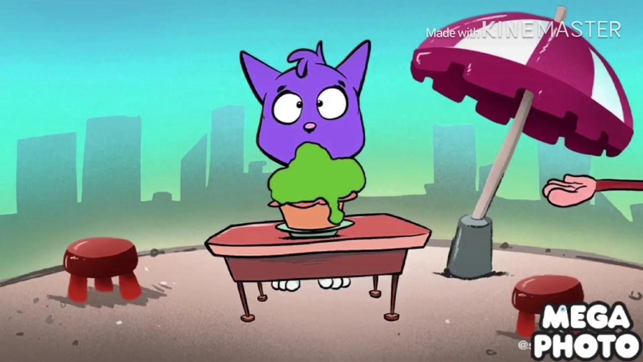 Cat and Food in Luig Group - YouTube