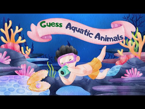 Guess the aquatic animals, underwater animals,marine life, mammals ...