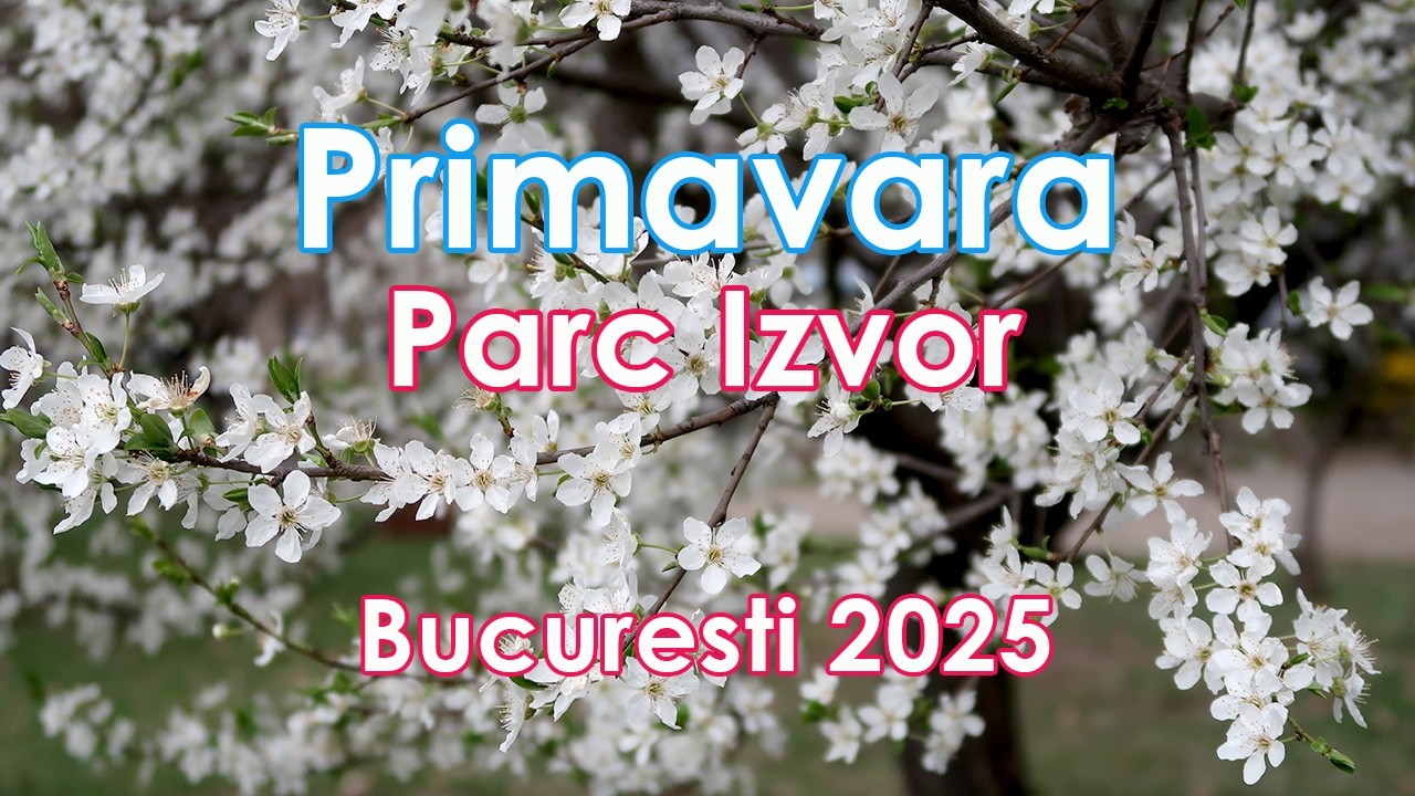 plimbare parcul izvor primavara 2025 - YouTube