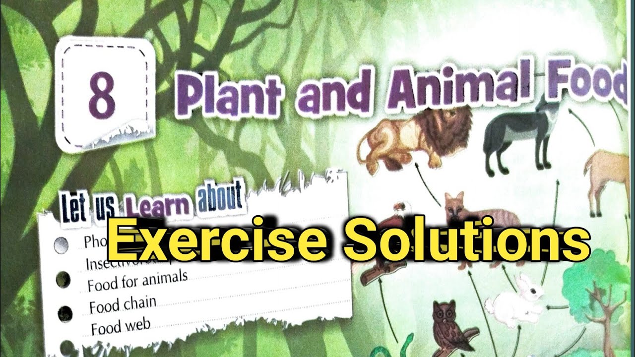 Plant and Animal Food Question Answer l New Learnwell Evs Class 5 - YouTube