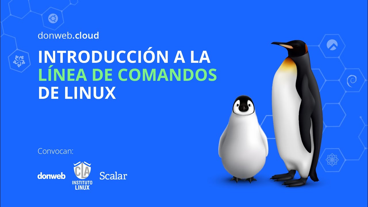 Introducción a la línea de comandos de Linux - YouTube