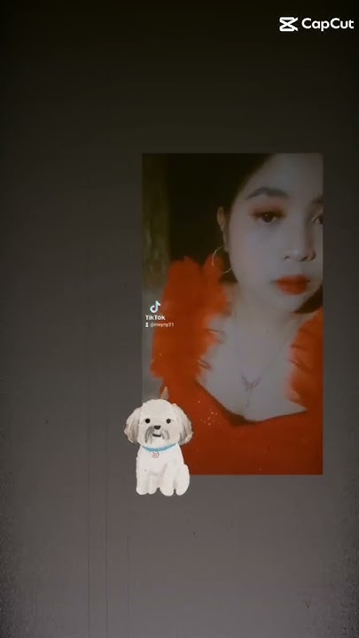 28 កុម្ភៈ 2023 - YouTube