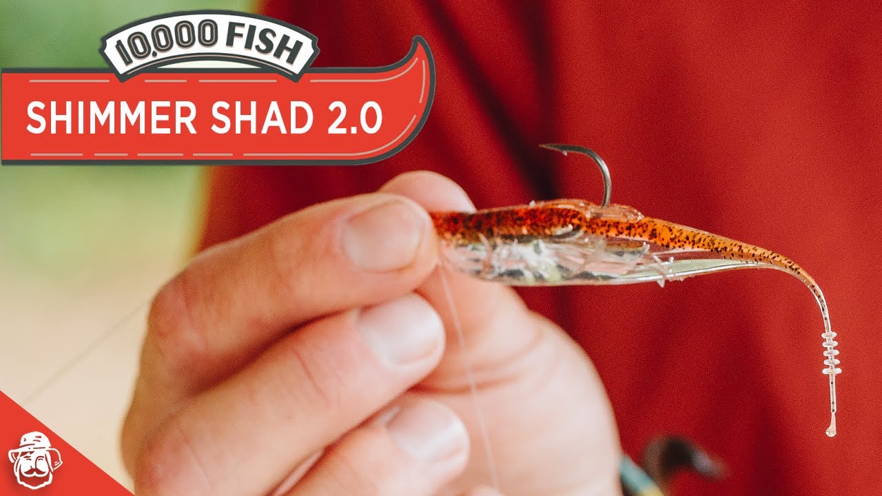 In-Depth Look at the NEW 10,000 Fish Shimmer Shad 2.0! - YouTube