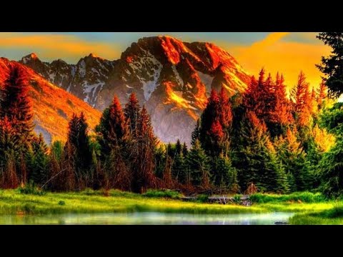 beautiful nature video clips for video editing,😍😍 - YouTube