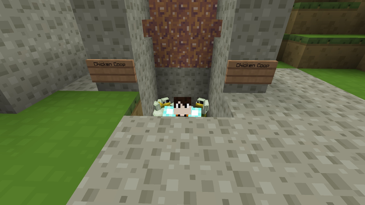 The coop is finished... yeah | Minecraft AIO [Ep.5] - YouTube